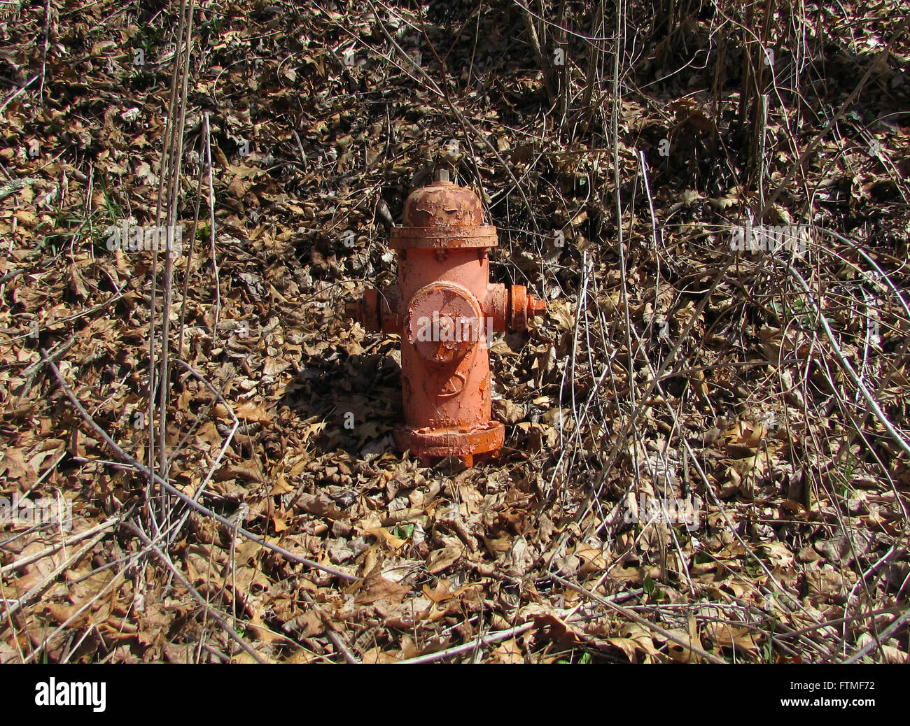 Decaying fire hydrant hi-res stock photography and images - Alamy