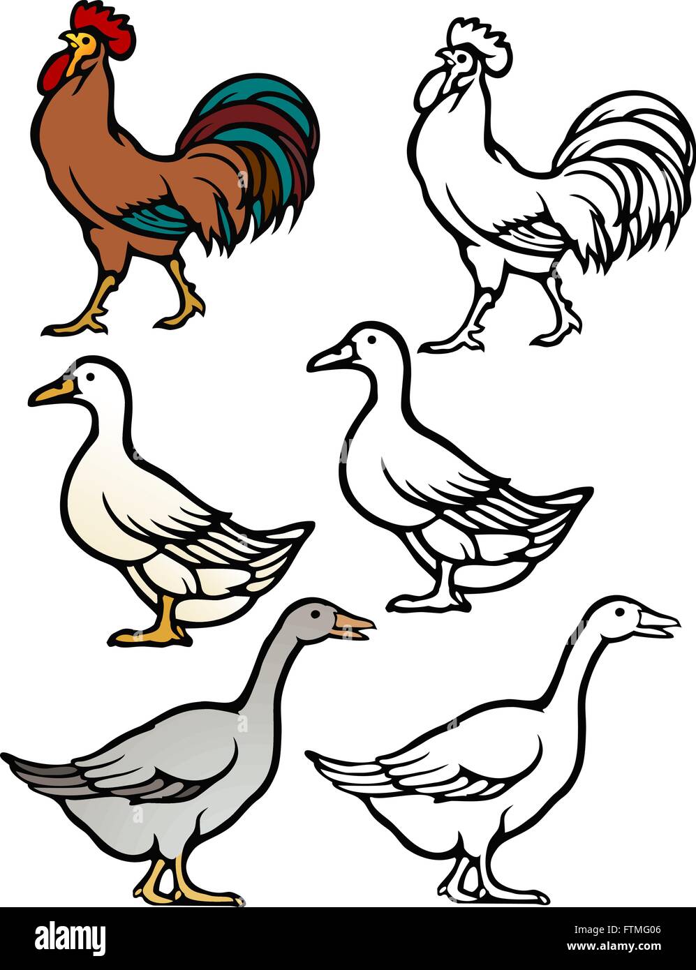 Fowl Animals Stock Vector Images - Alamy