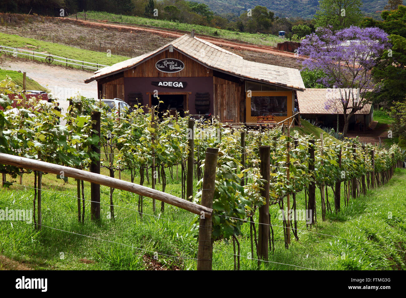 Wine cellar architecture hi-res stock photography and images - Alamy