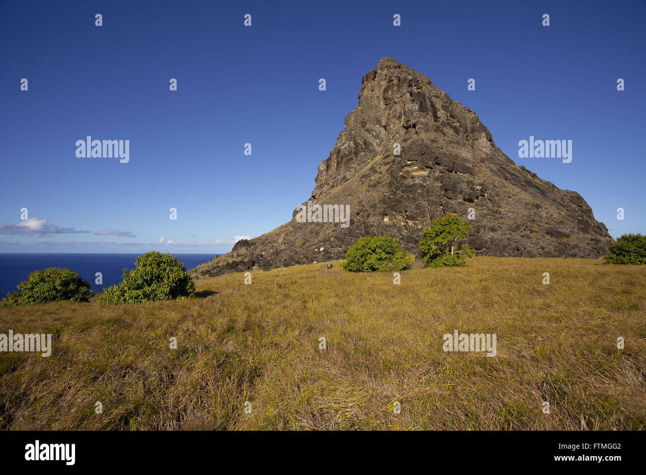 Trindade island hi-res stock photography and images - Alamy