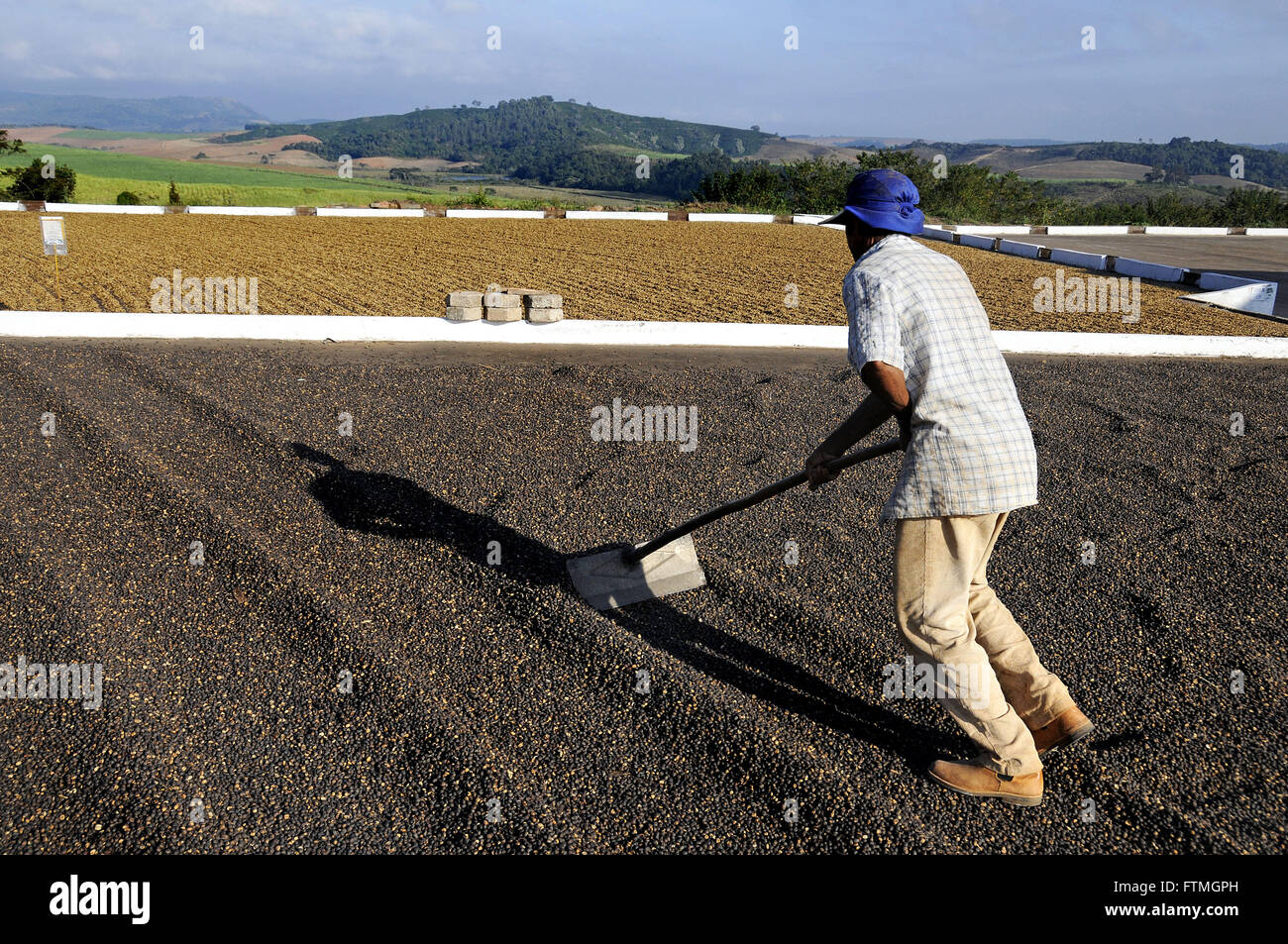 Coffee drying farmer south america hi-res stock photography and images ...