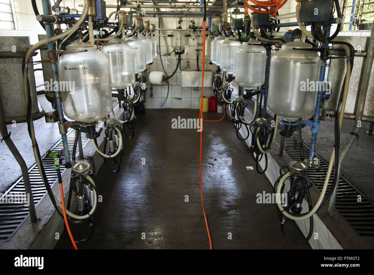 Dairy industry hi-res stock photography and images - Alamy