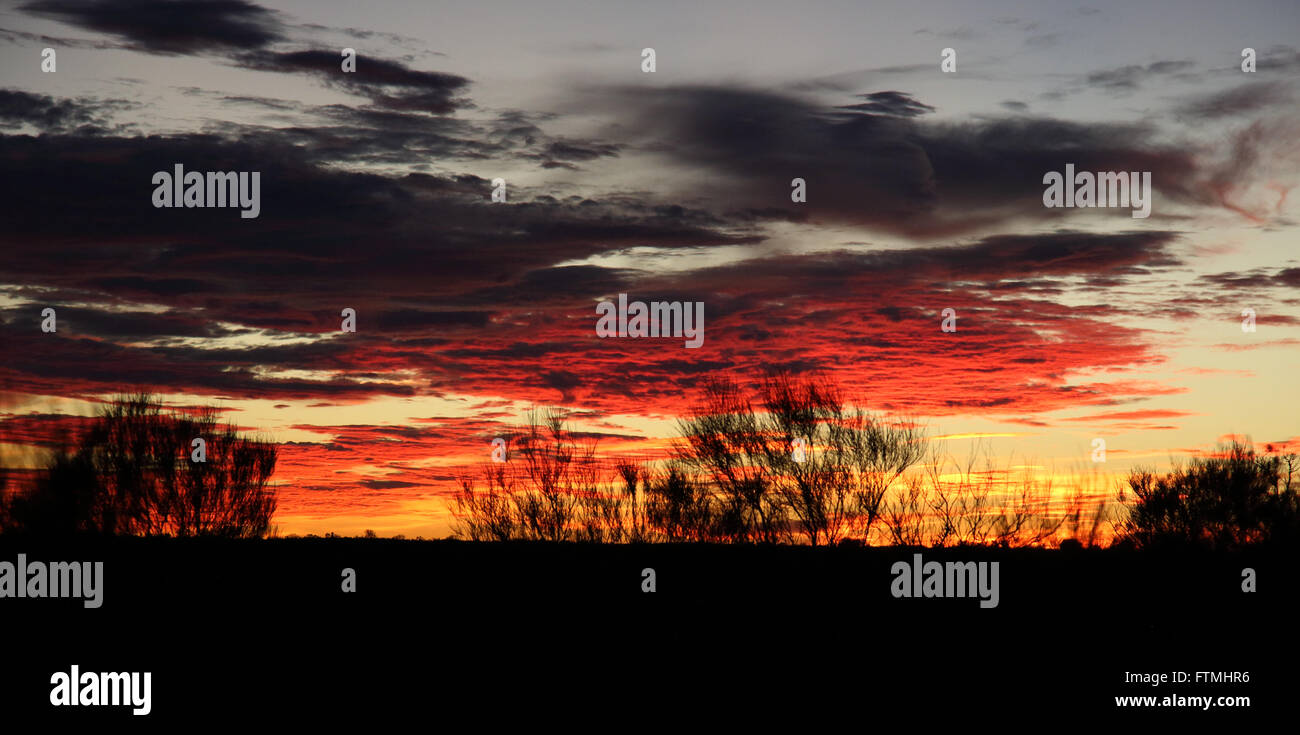 sunrise in the australian bush in the northern territory of australia ...