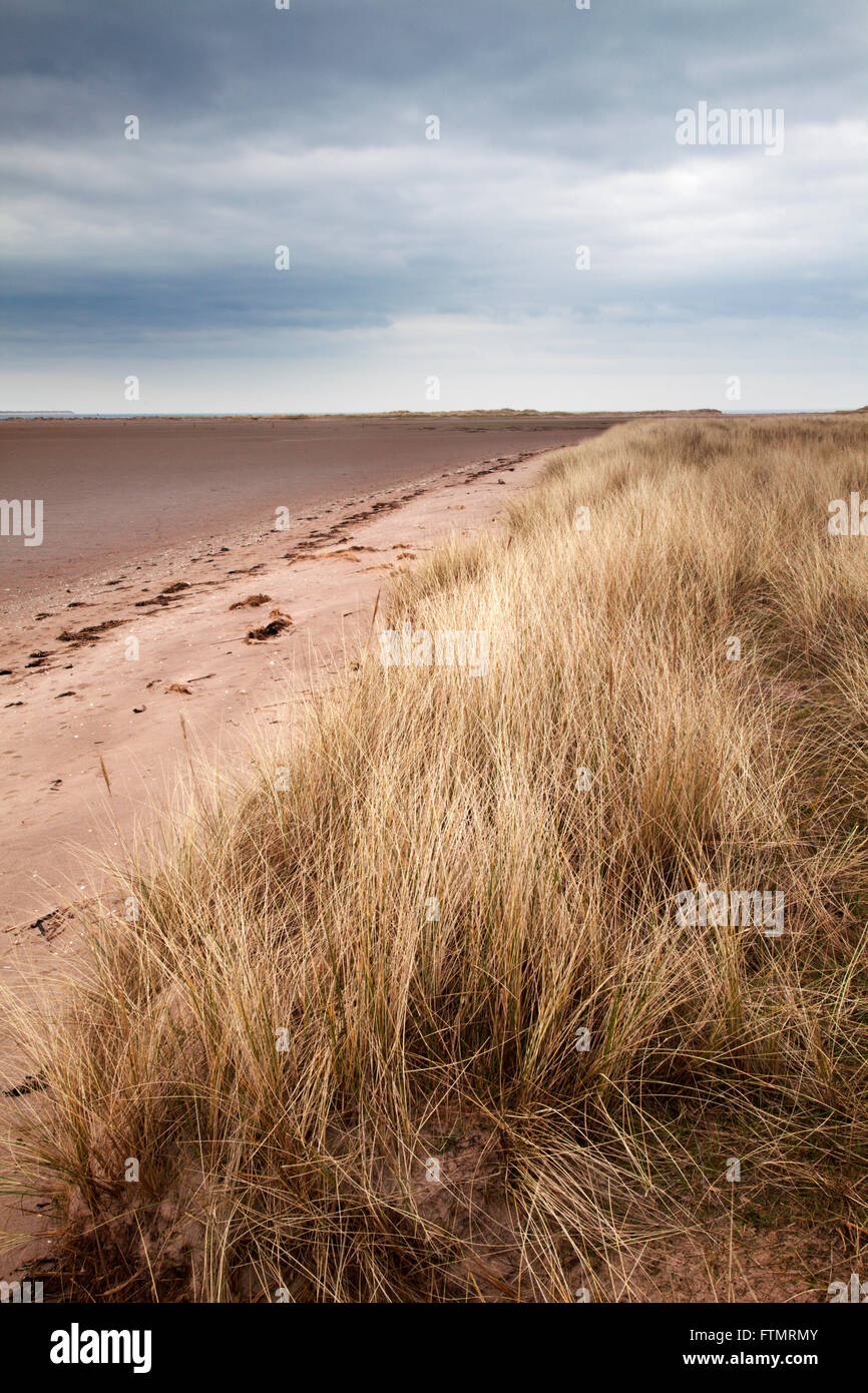 Sand Dunes and Tay Estuary Tentsmuir National Nature Reserve Tayport ...