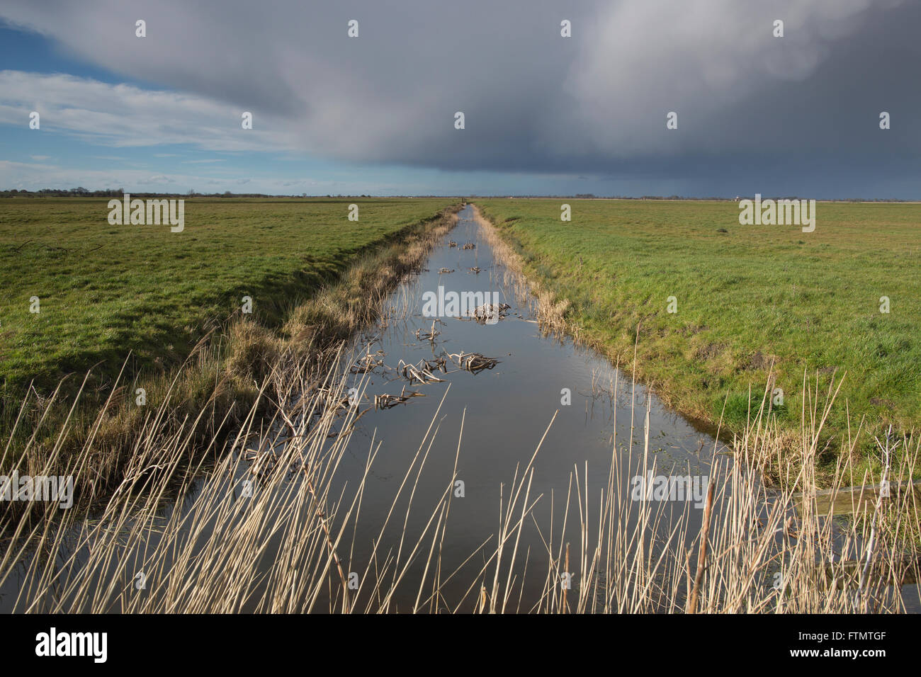 Mutton's drainage mill hi-res stock photography and images - Alamy