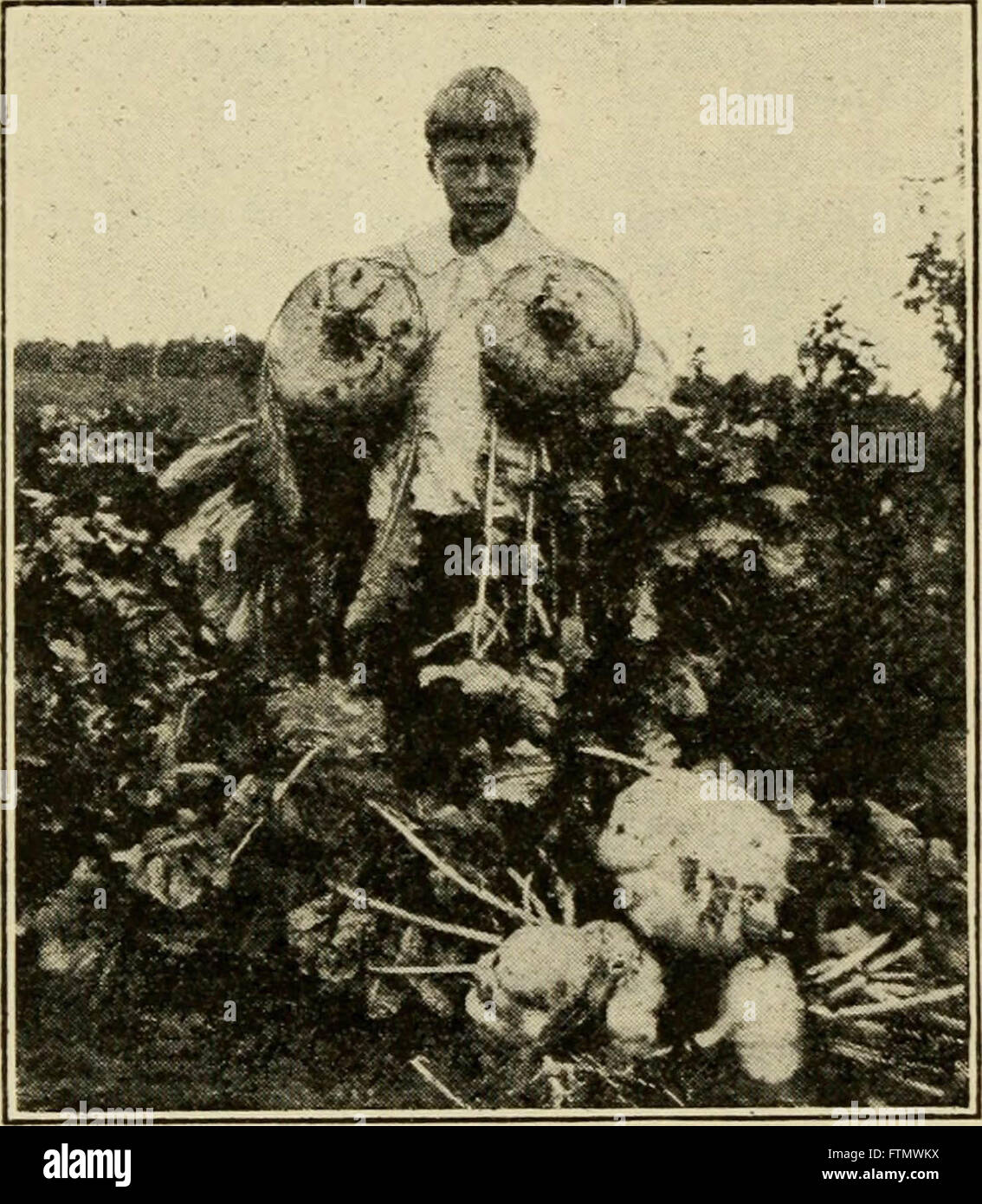 "Elements of farm practice, prepared especially for teaching elementary ...