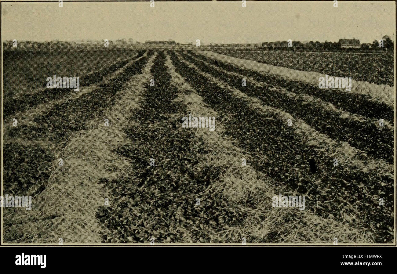 "Elements of farm practice, prepared especially for teaching elementary ...