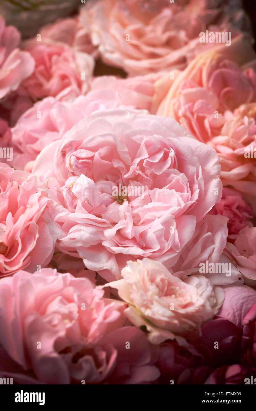 Flowers bouquet hi-res stock photography and images - Alamy