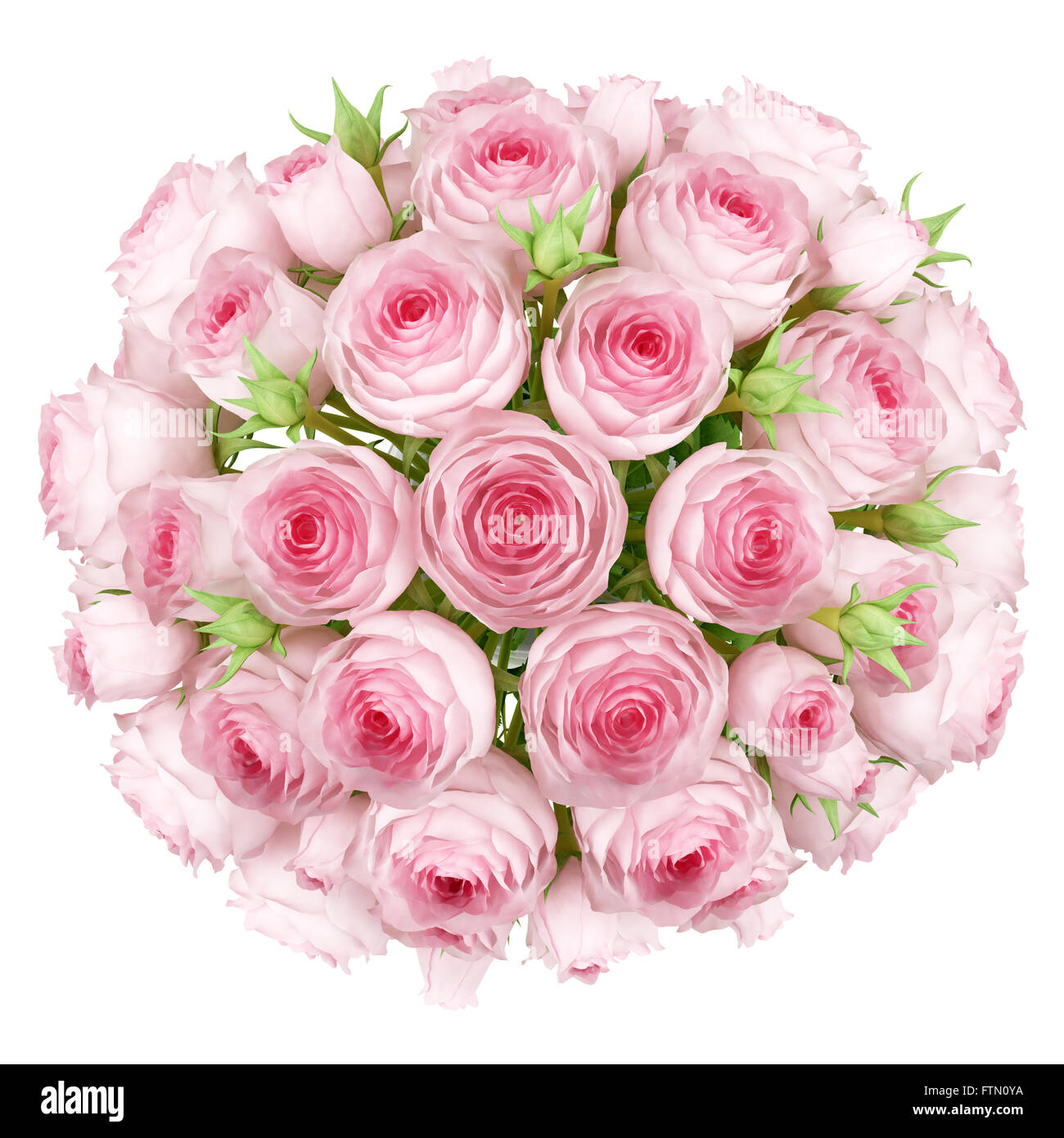 top view of bouquet of pink roses isolated on white background Stock ...