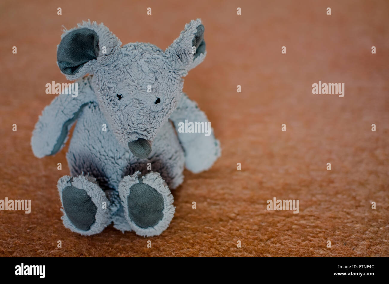 Rat teddy bear Stock Photo - Alamy