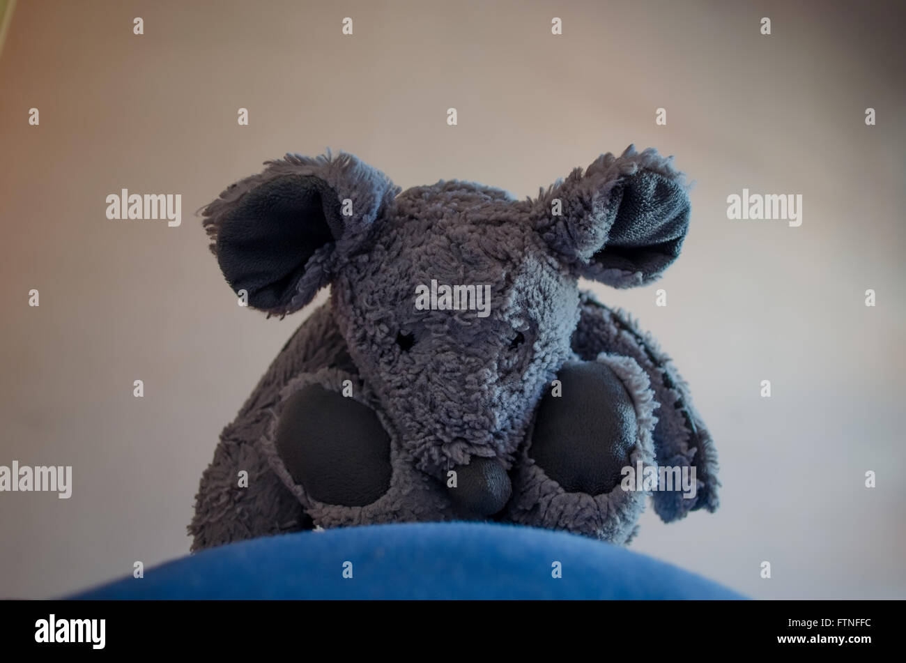 A rat teddy bear Stock Photo - Alamy