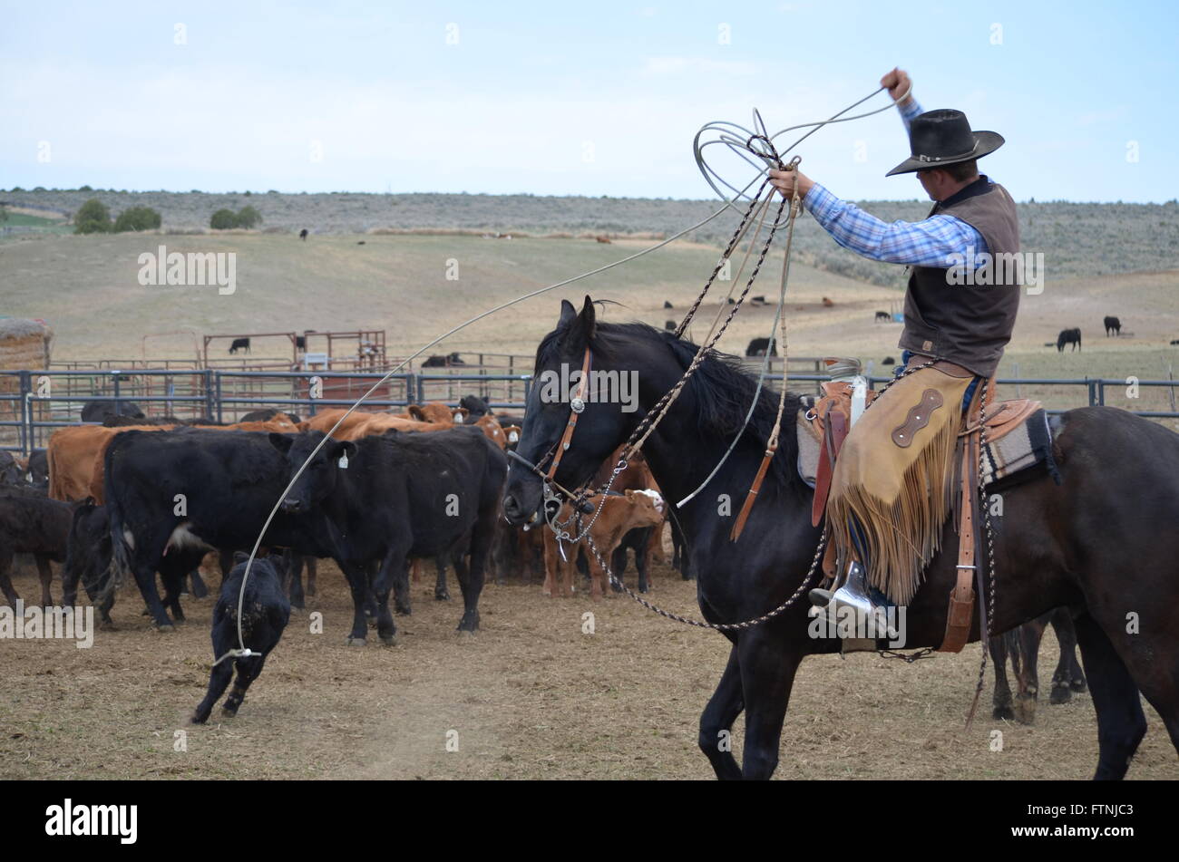 Cowboy chaps hi-res stock photography and images - Alamy