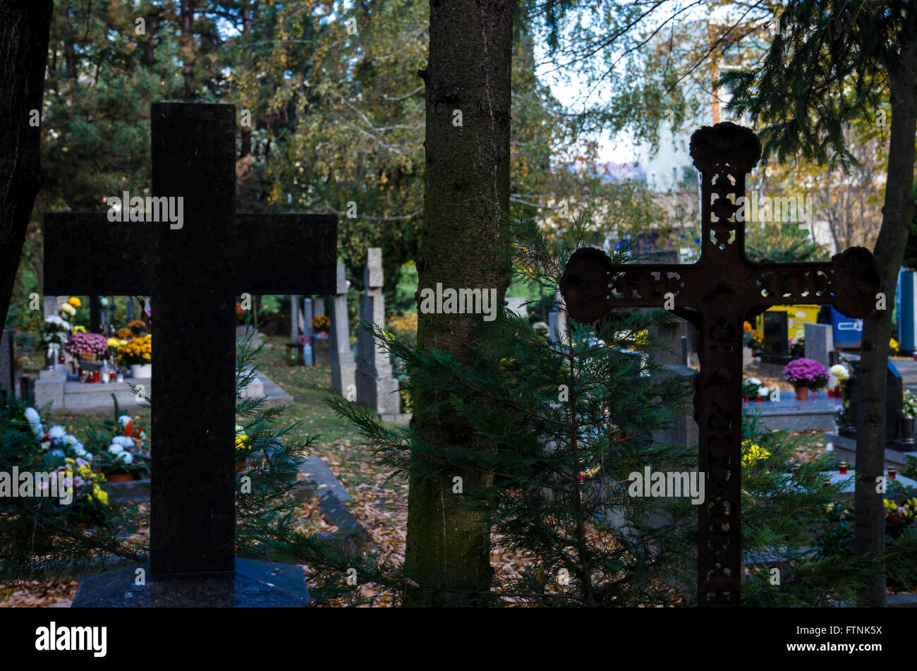 cross symbols in the cemetery Stock Photo - Alamy