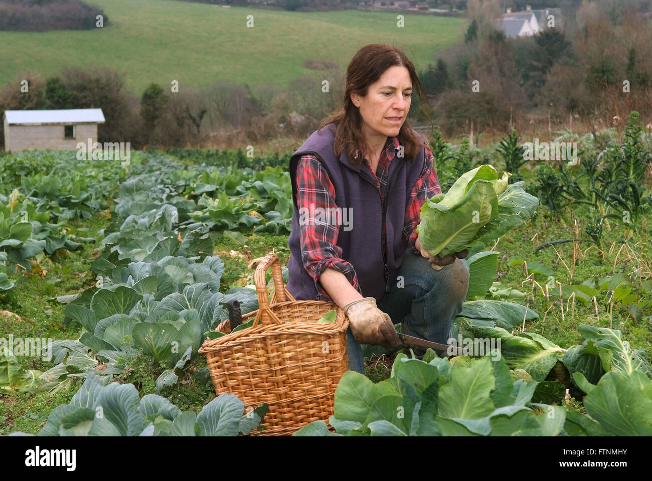 Lori de Mori woofing (volunteering/learning) at Cusgarne Organic Farm ...