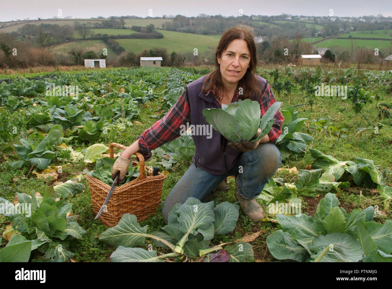Lori de Mori woofing (volunteering/learning) at Cusgarne Organic Farm ...