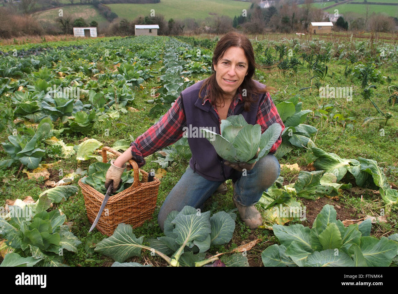 Lori de mori woofing volunteering learning hi-res stock photography and ...