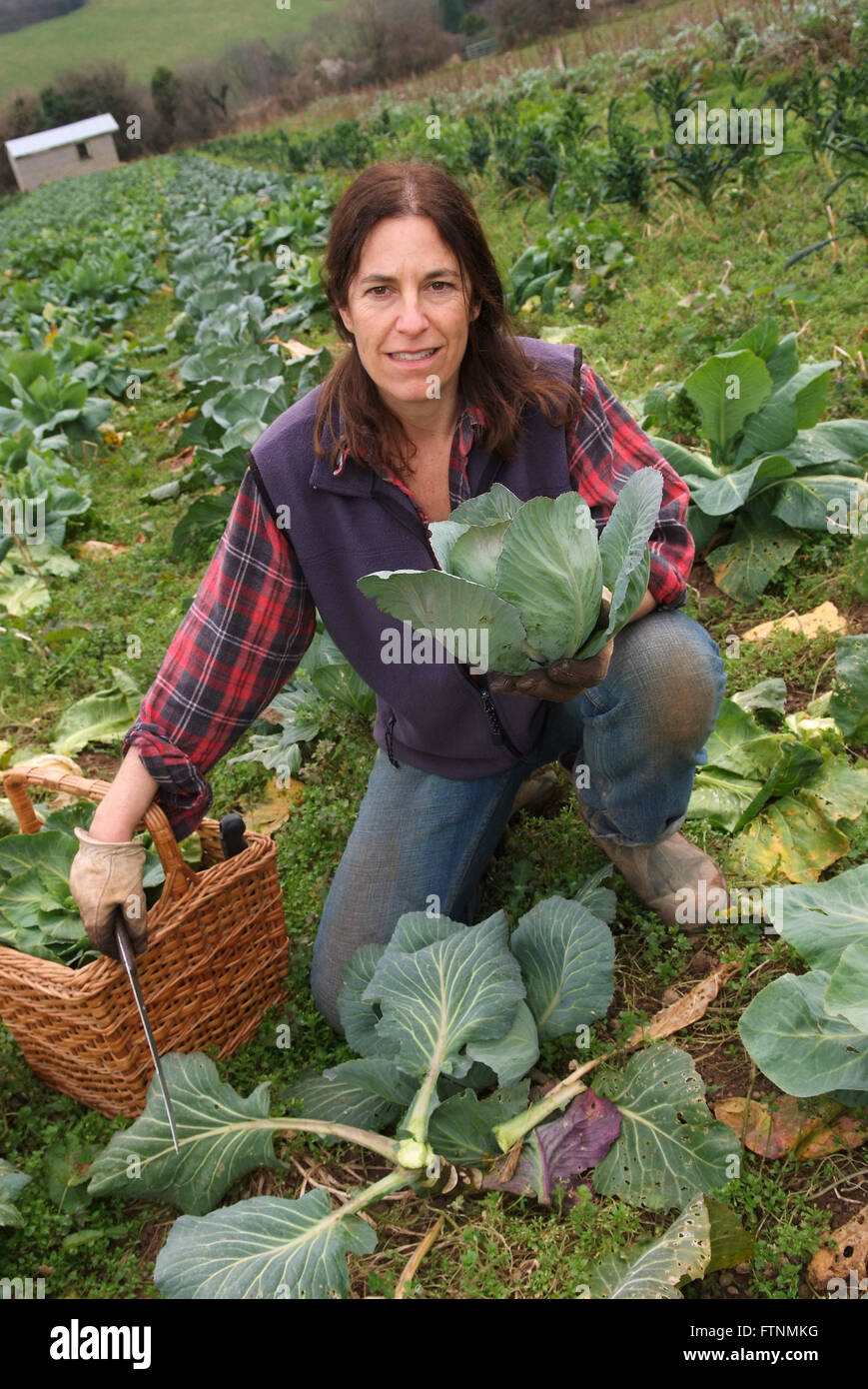 Lori de Mori woofing (volunteering/learning) at Cusgarne Organic Farm ...