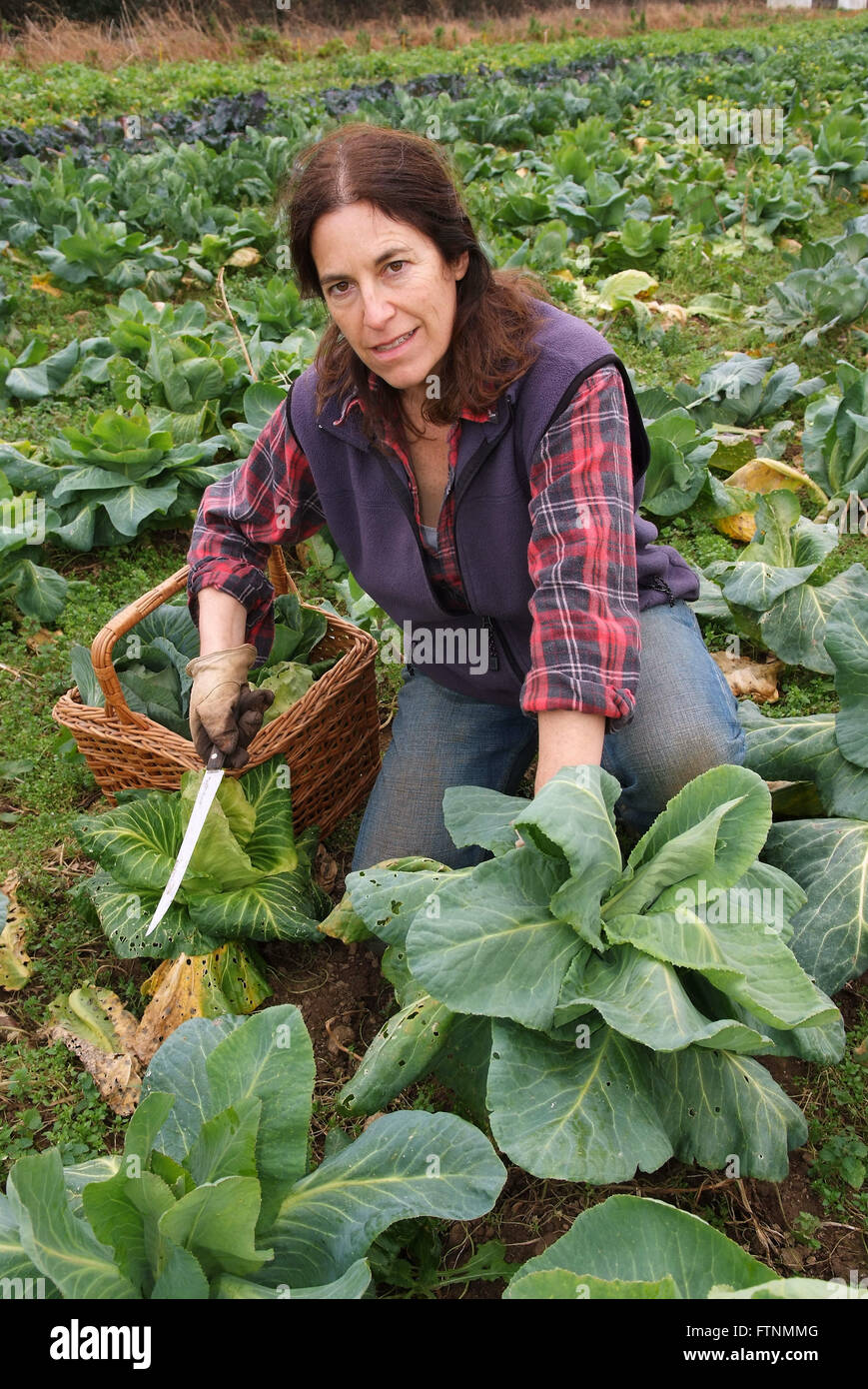 Lori de mori woofing volunteering learning hi-res stock photography and ...