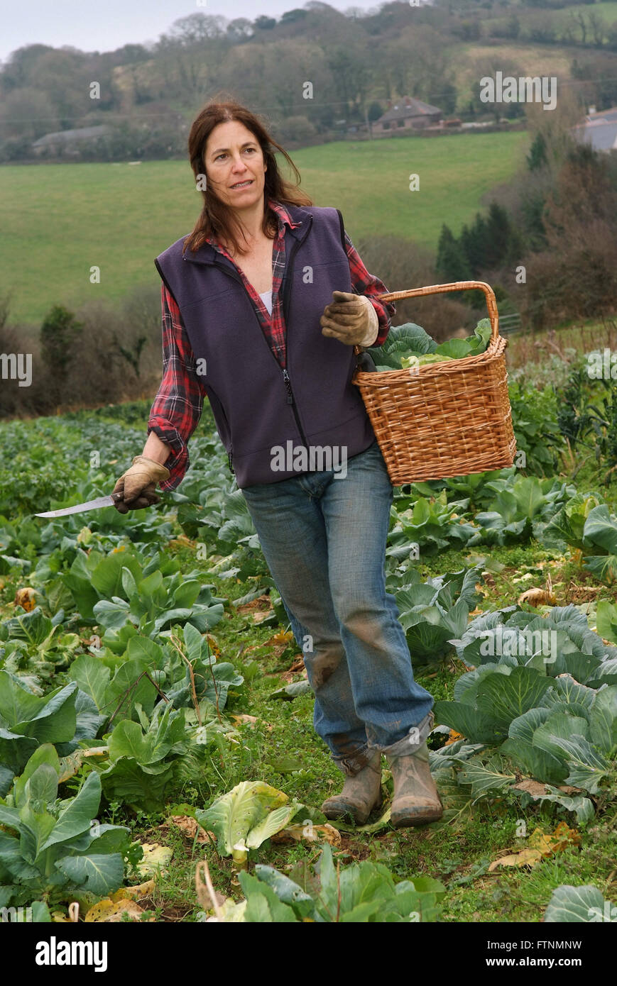 Lori de Mori woofing (volunteering/learning) at Cusgarne Organic Farm ...