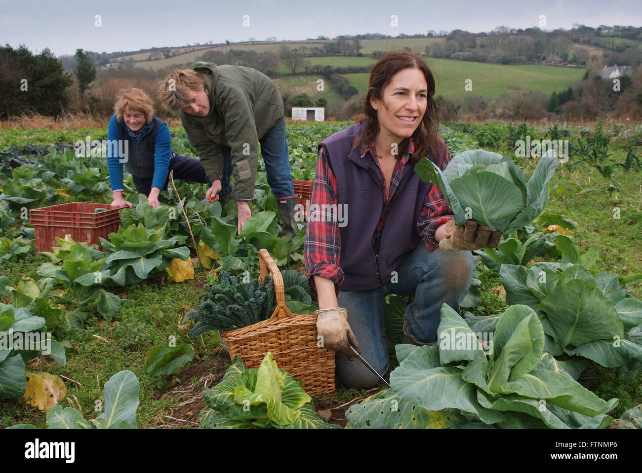 Lori de Mori woofing (volunteering/learning) at Cusgarne Organic Farm ...