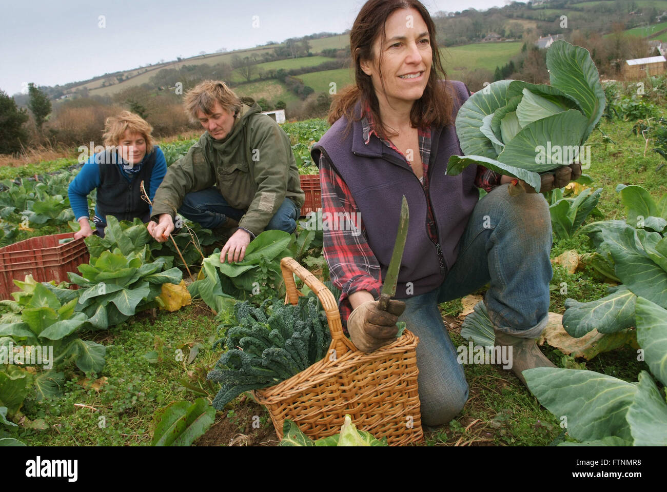 Women volunteer volunteers volunteering work worker workers hi-res ...