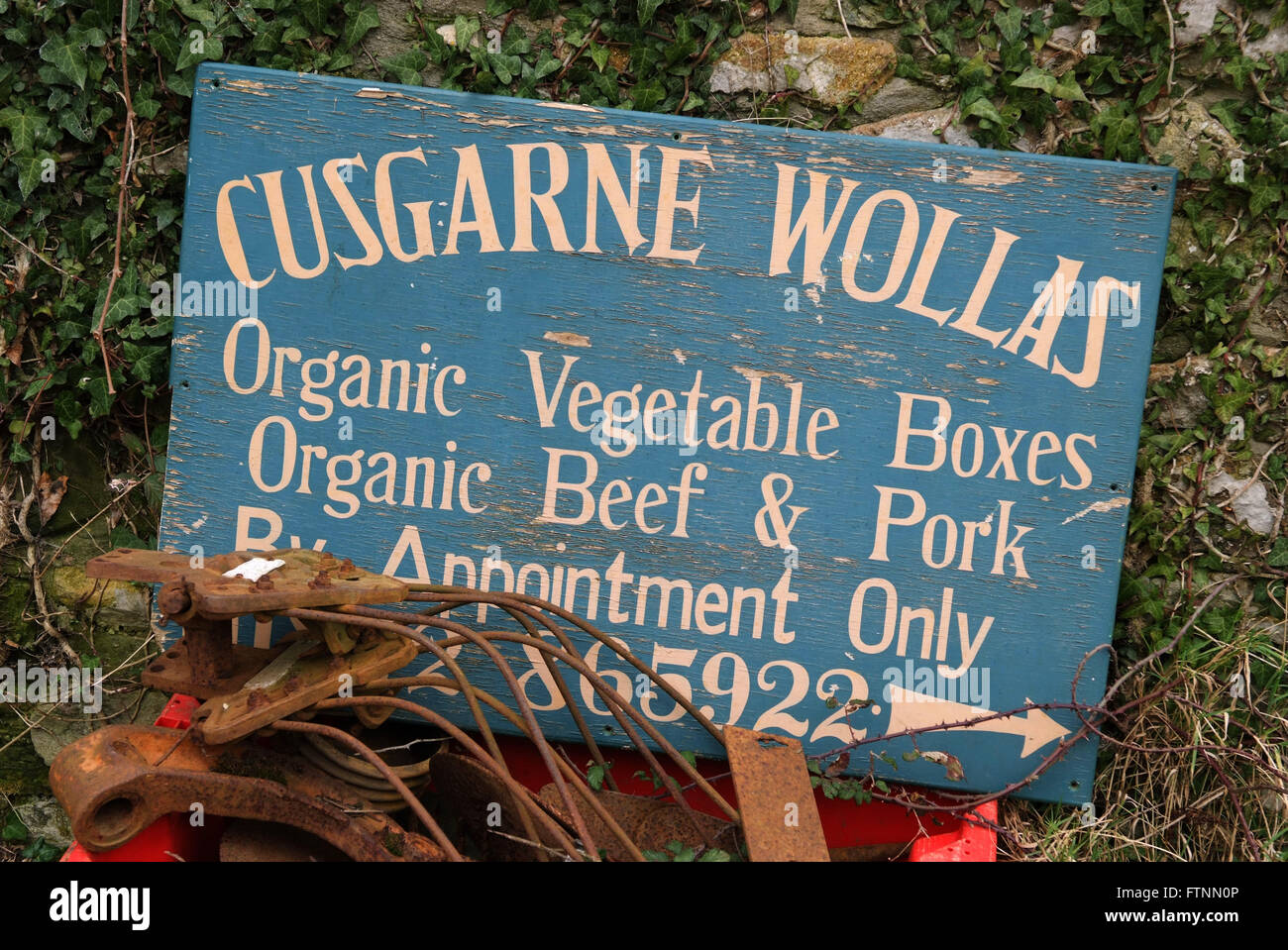 Lori de Mori woofing (volunteering/learning) at Cusgarne Organic Farm ...