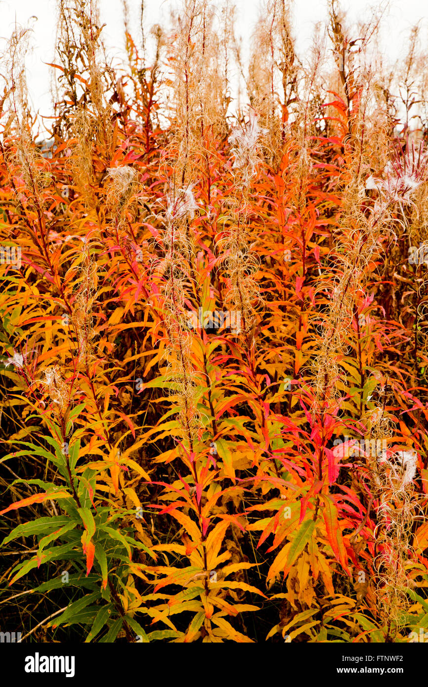 Color colour colours hi-res stock photography and images - Alamy
