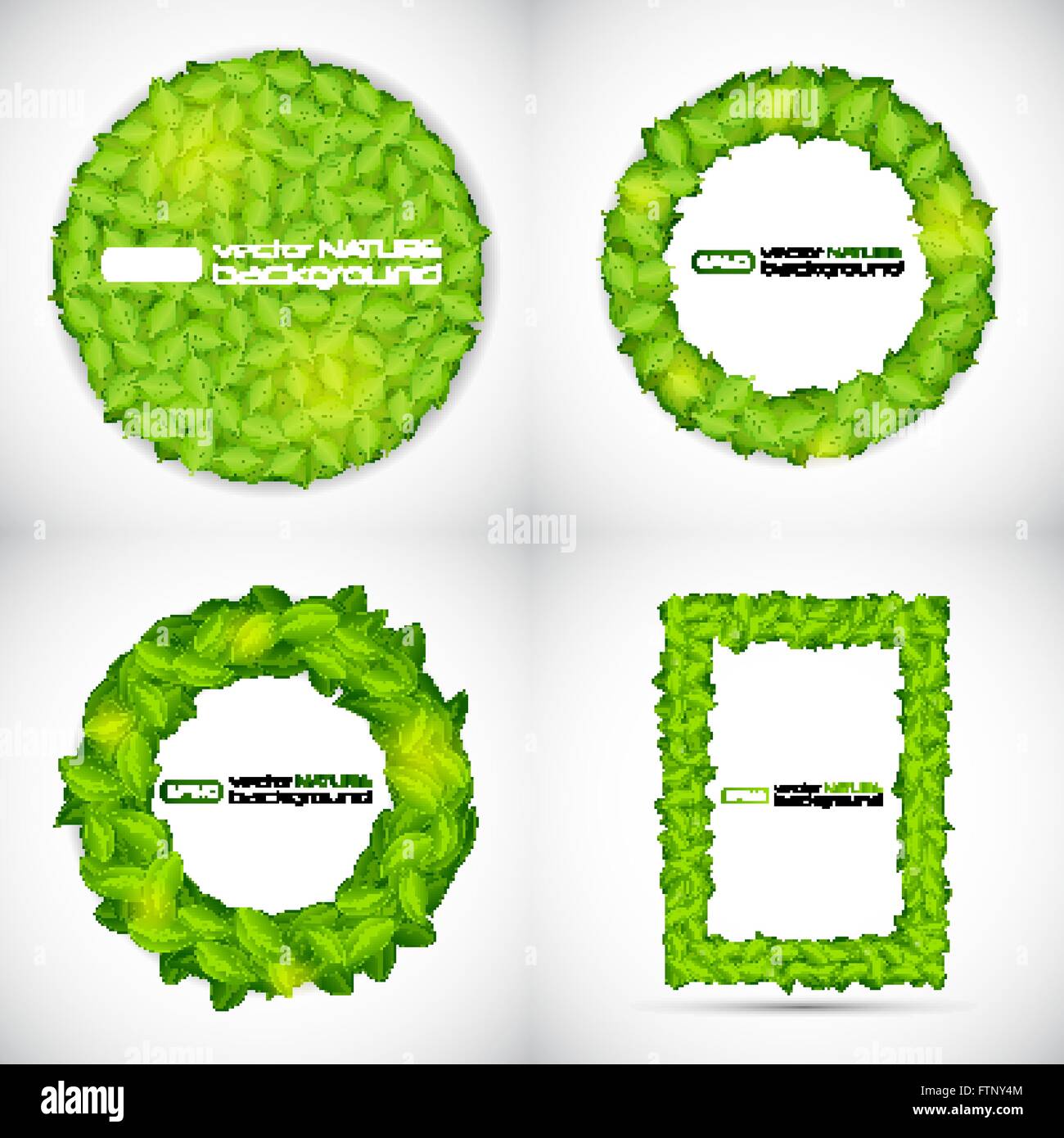 Shiny Natural Leaves Background. Vector Illustration Stock Vector Image ...