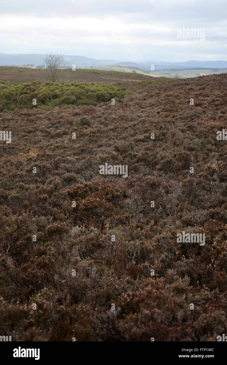 Brimmond hi-res stock photography and images - Alamy