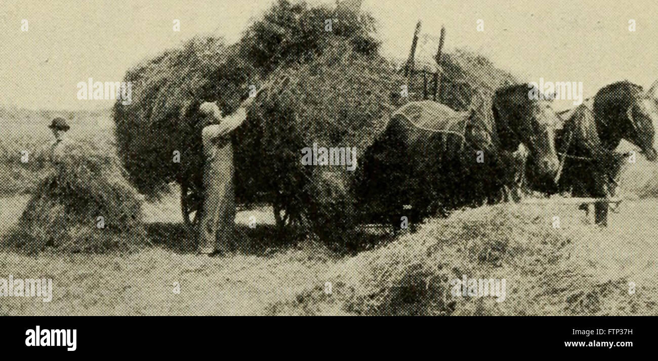 "Elements of farm practice, prepared especially for teaching elementary ...