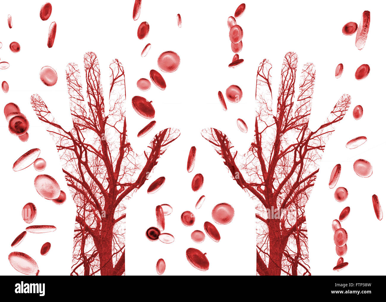Close up human blood vessels in male hand with blood cells in ...