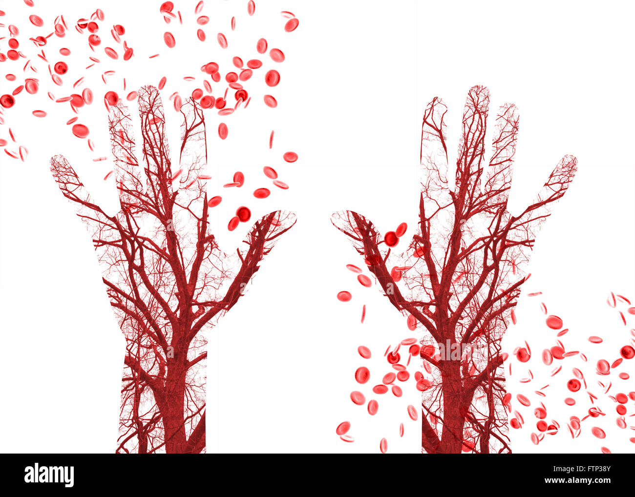 Close up human blood vessels in male hand with blood cells in ...