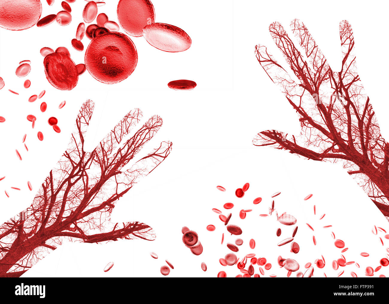 Close up human blood vessels in male hand with blood cells in ...