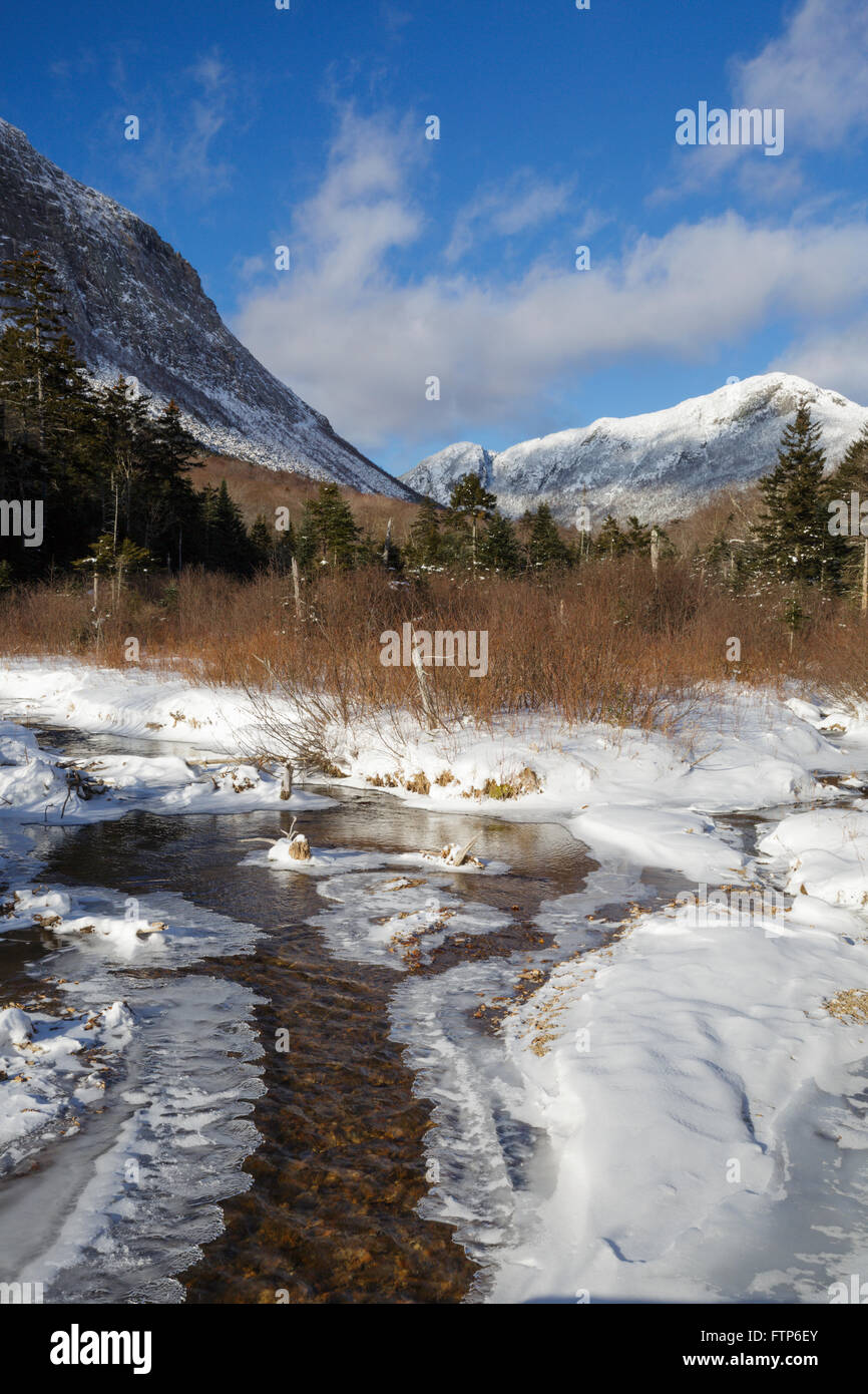 Eagle Cliff from along the Pemi Trail in Franconia Notch State Park of ...