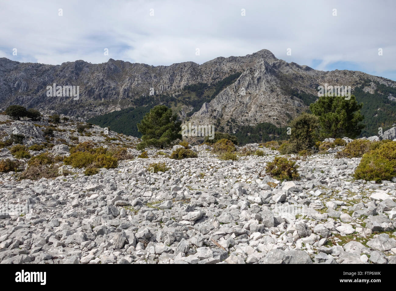 Karstic limestone mountains at Grazalema, Andalusia, Spain Stock Photo ...
