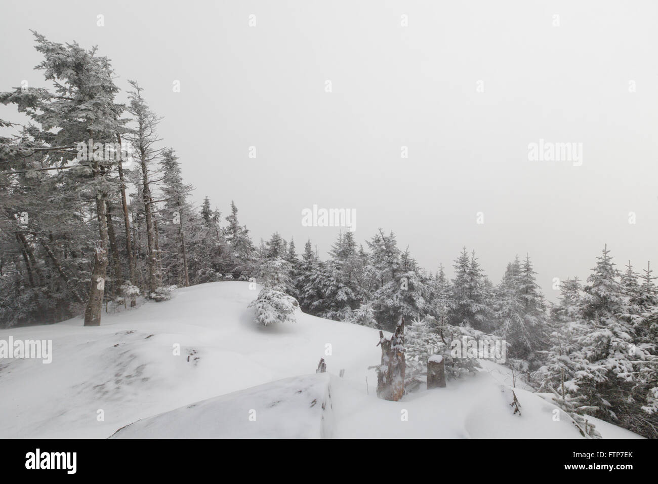 Whiteout conditions on the summit of Mount Tecumseh in Waterville ...