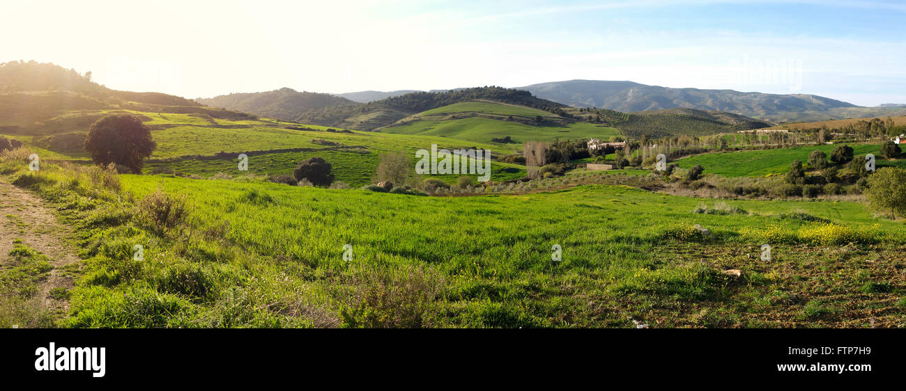 Hilly grass landscape of Andalusian countryside in spring. Southern ...