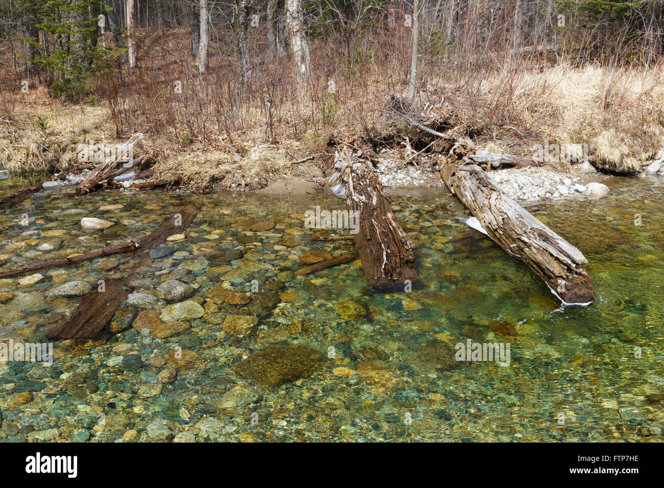 Remnants of dam along the Wild Ammonoosuc River in the abandoned ...