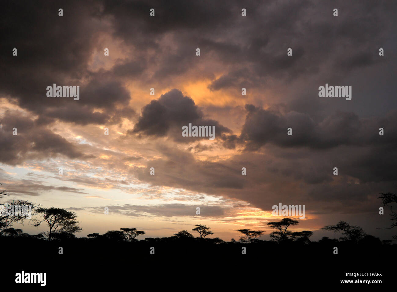Sunrise under stormy skies, Ngorongoro Conservation Area, Tanzania ... Sunrise under stormy skies, Ngorongoro Conservation Area, Tanzania ...