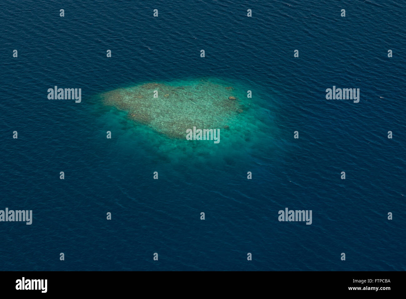Coral Reefs, Maldives Stock Photo - Alamy