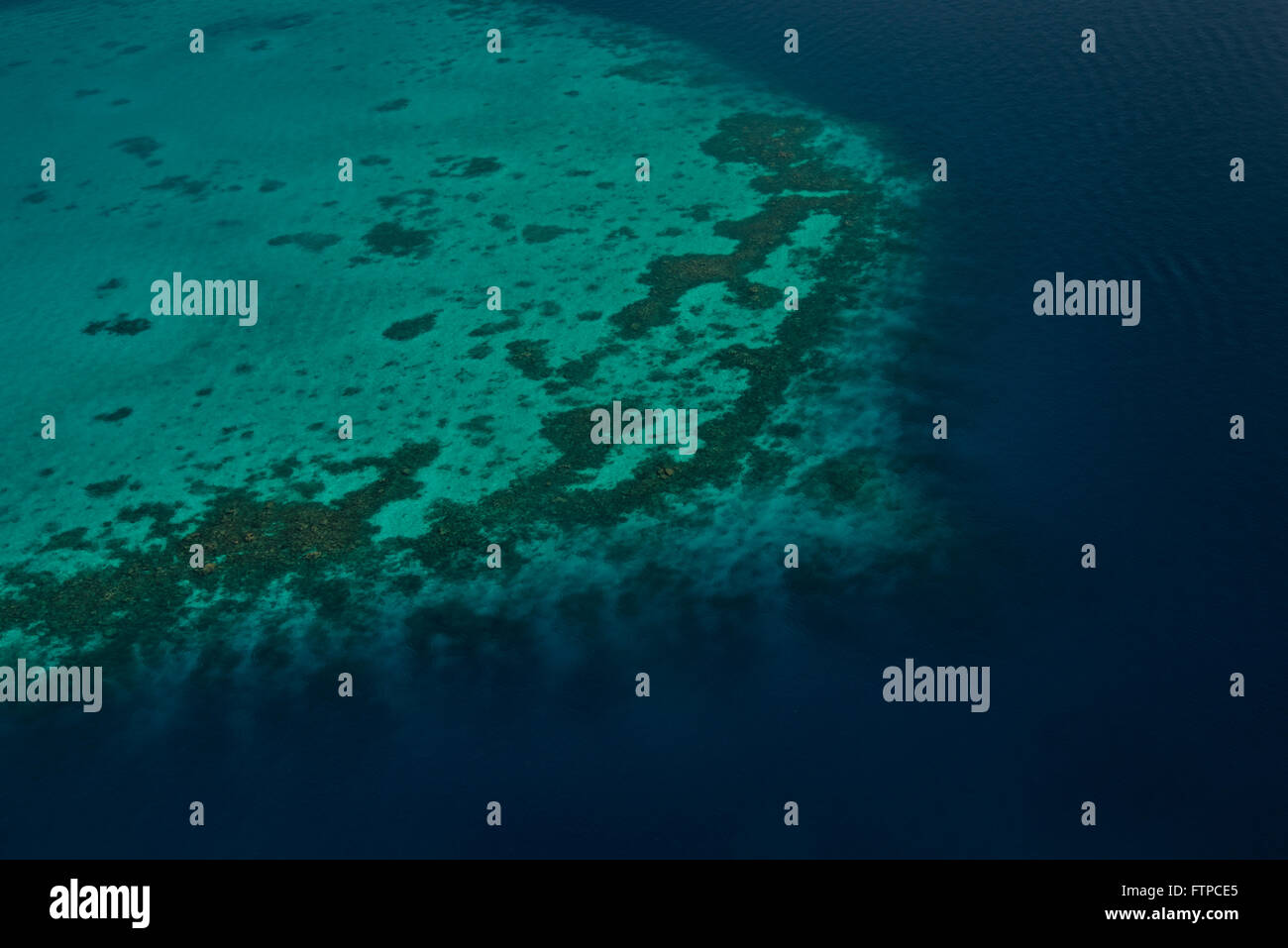 Coral Reefs, Maldives Stock Photo - Alamy