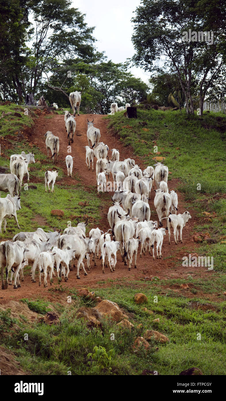Large field dirt road hi-res stock photography and images - Alamy
