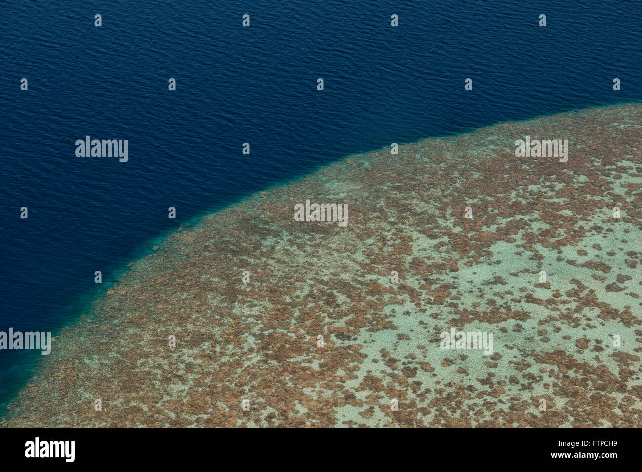Coral Reefs, Maldives Stock Photo - Alamy