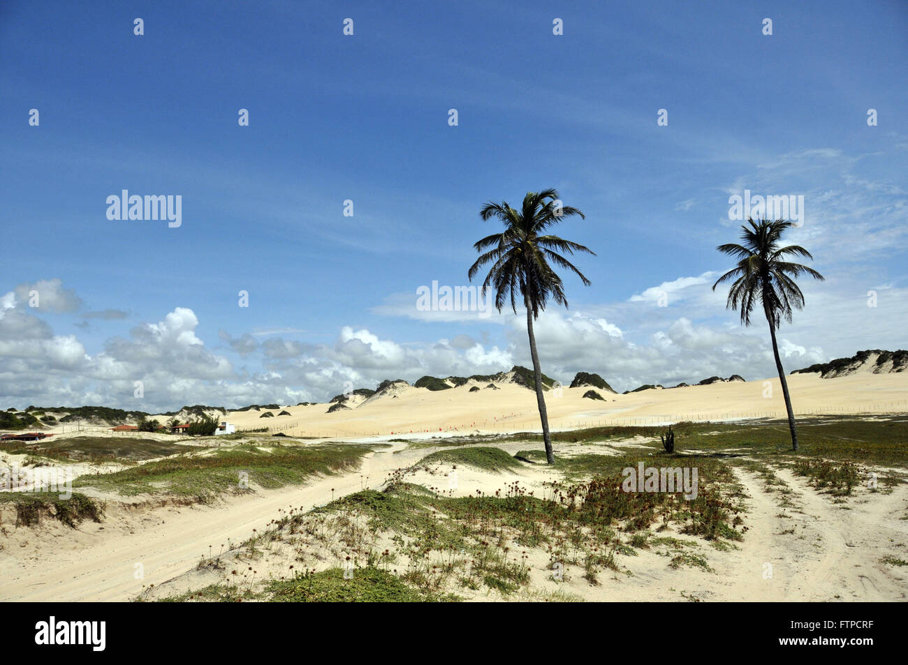 Genipabu dunes - Polo Dunes Coast Stock Photo - Alamy