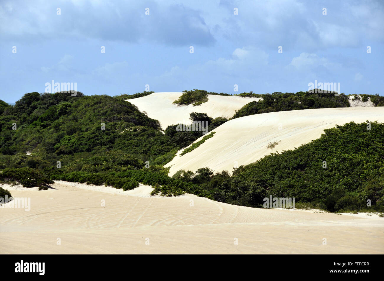 Genipabu dunes - Polo Dunes Coast - Christmas metropolitan region Stock ...