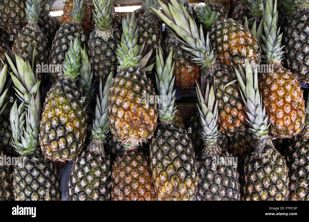 Pineapple sold on the Pacaembu Fair in Praca Charles Miller Stock Photo ...