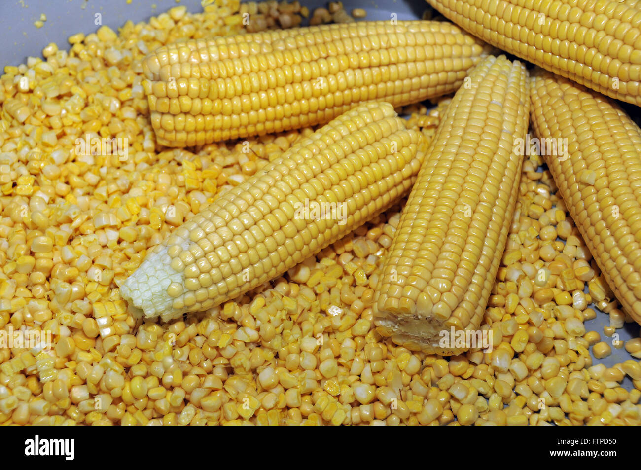 Ears of corn hi-res stock photography and images - Alamy