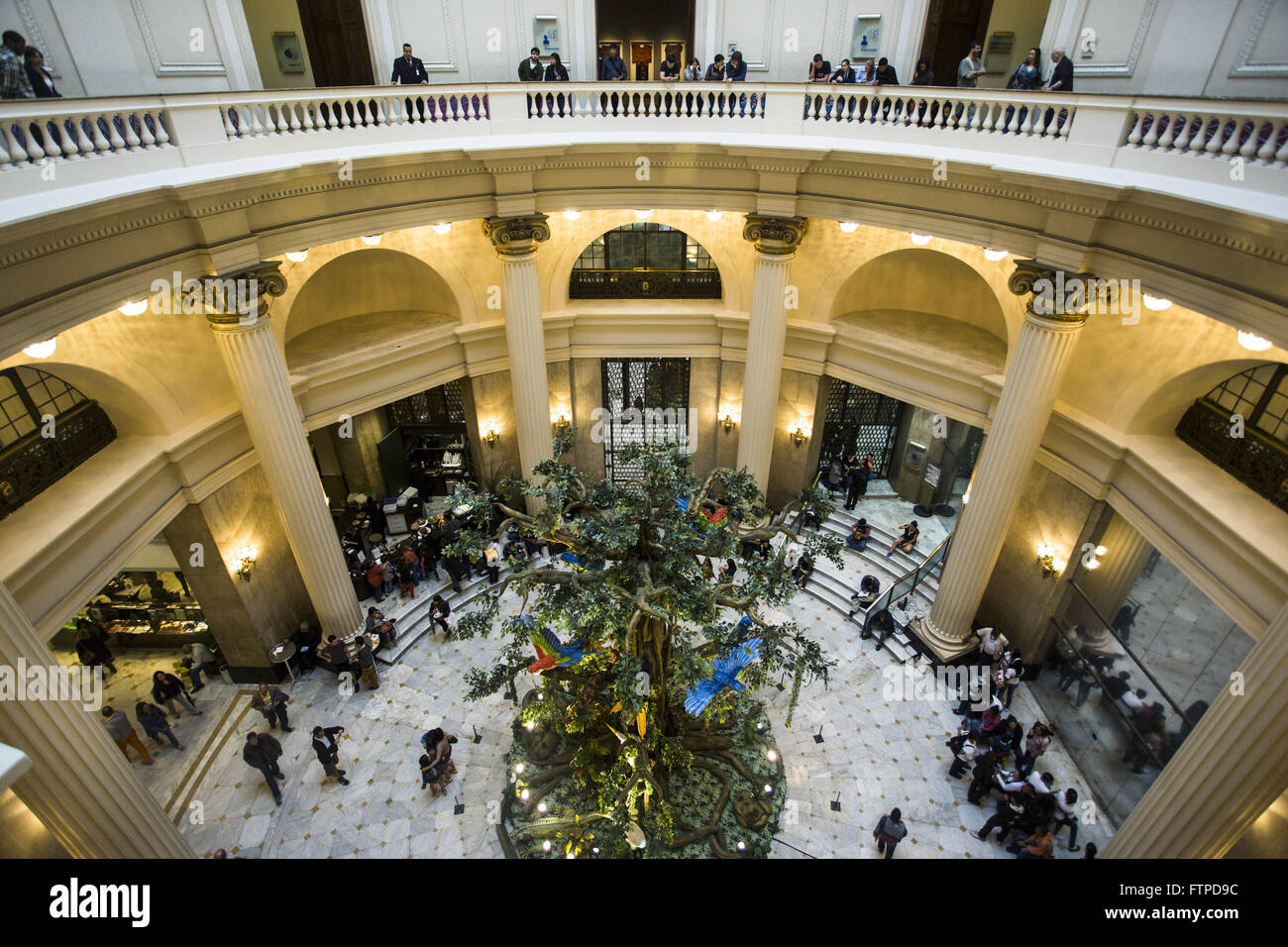 Installation representing the Amazonian forest in Amazonia exhibition ...