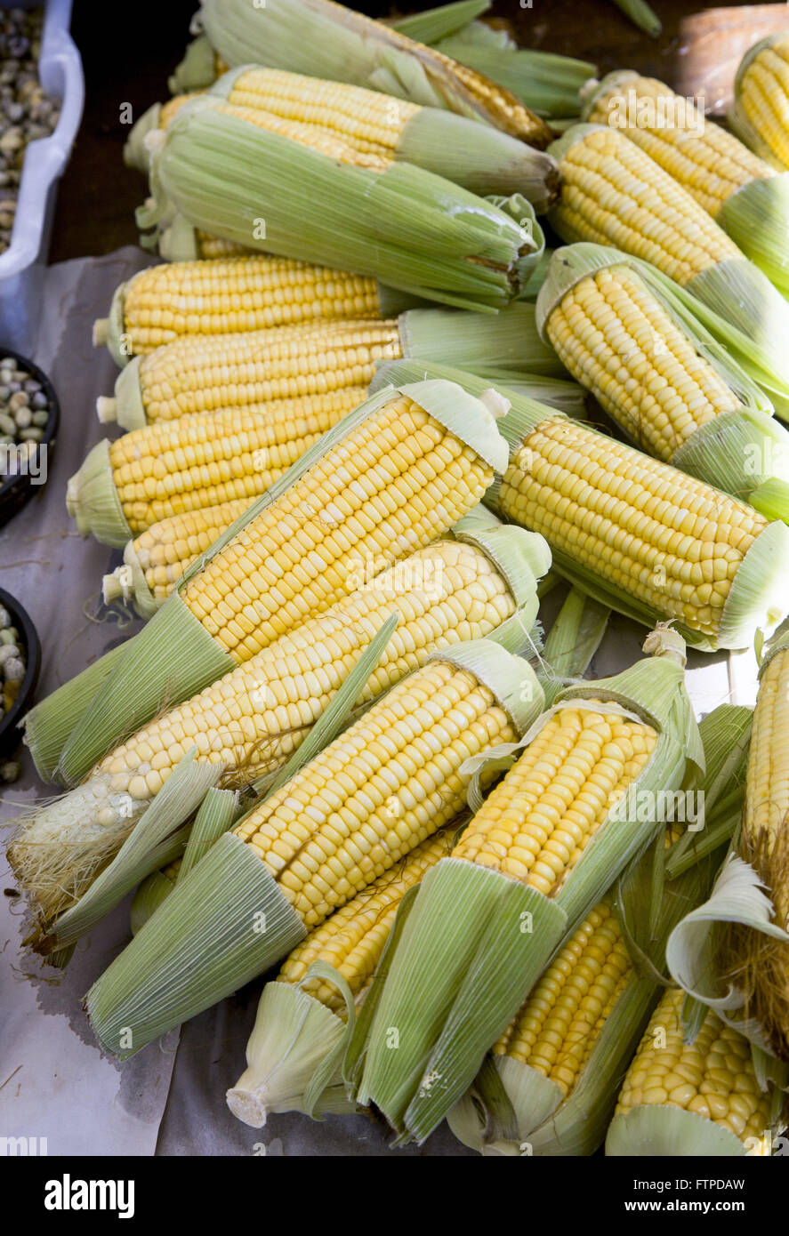 Ears of corn sold on the open street Gavea neighborhood in southern ...