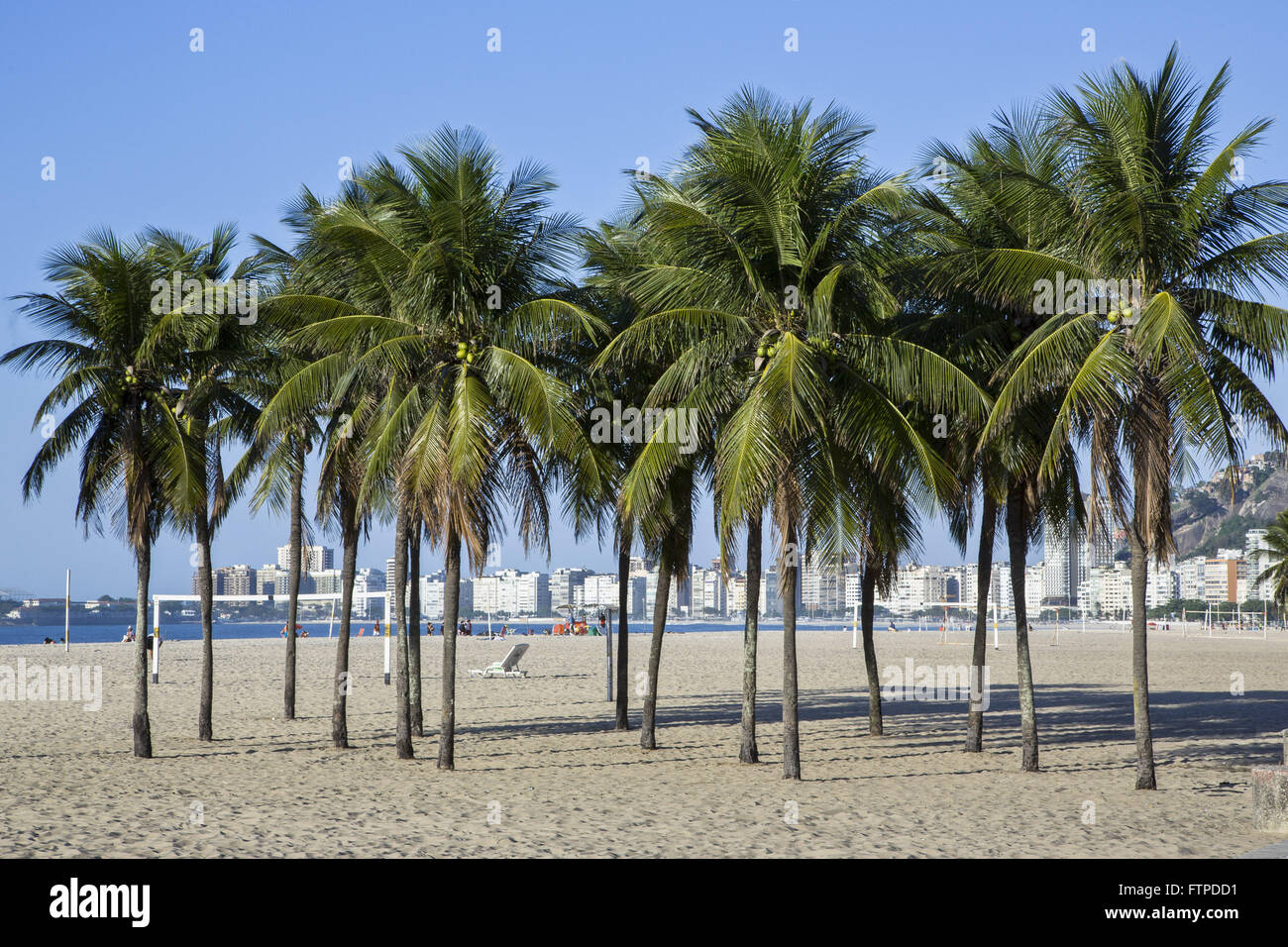 Trees on beach south hi-res stock photography and images - Alamy